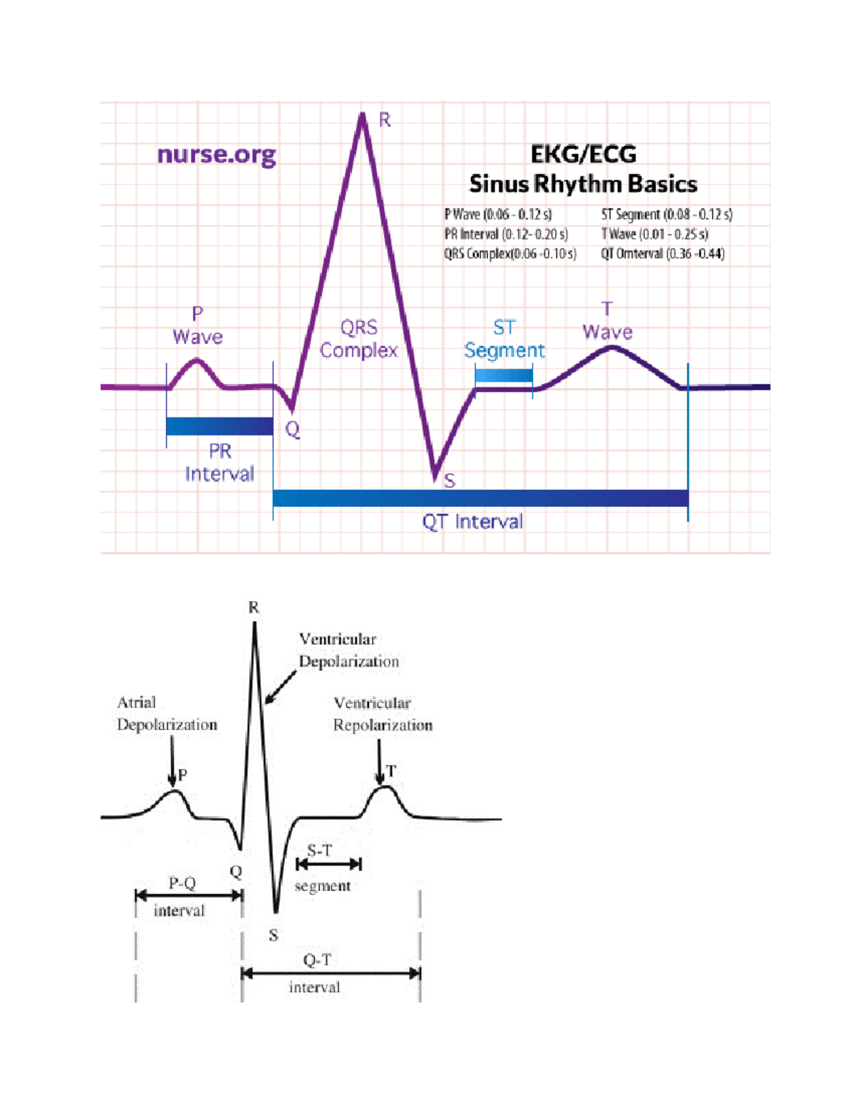 EKG Handouts: Essential Notes for Cardiology Students - Studocu