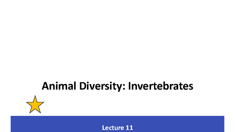 Animal Diversity: Invertebrates Lecture 11 Overview and Key Concepts ...