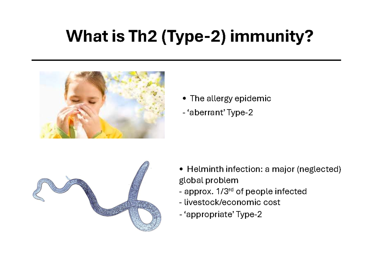 Lecture on Th2 Immunity and Hypersensitivity Responses - Studocu