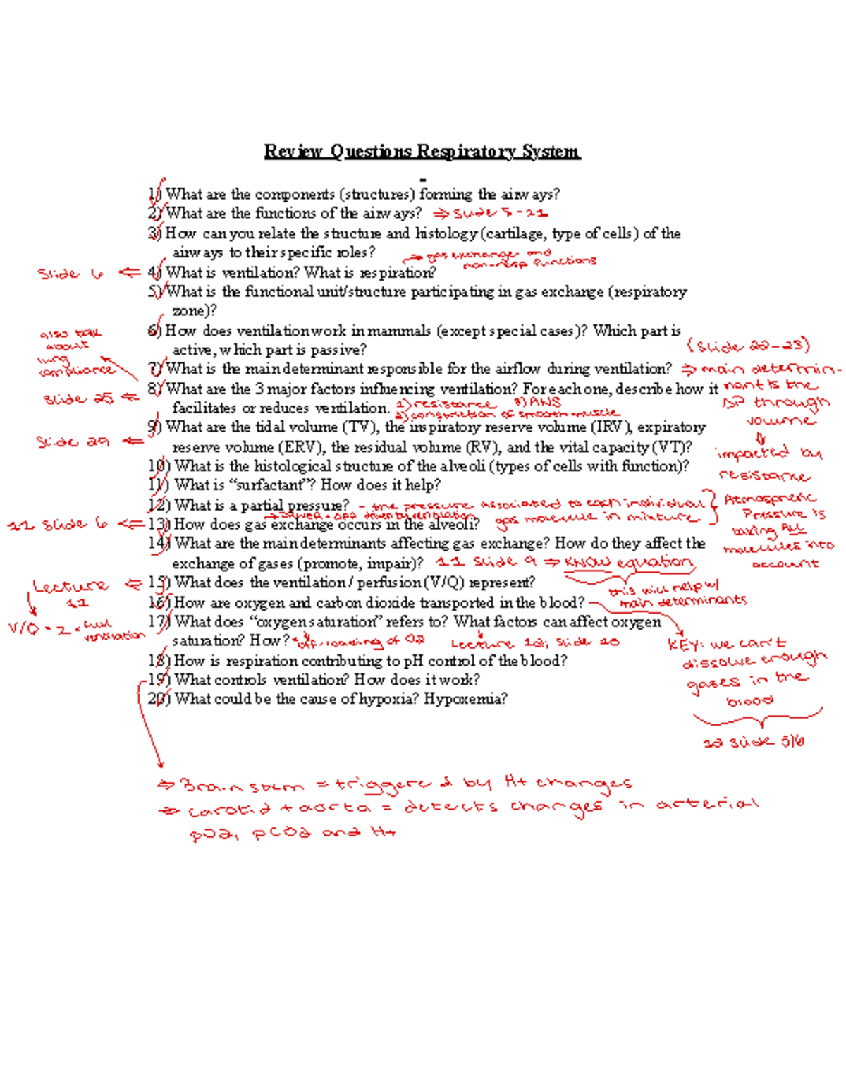 Respiratory System Review Questions for Exam Preparation - Studocu