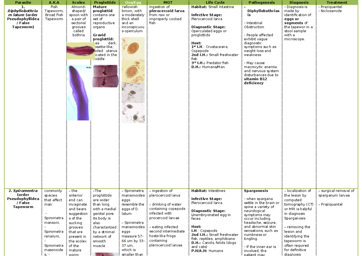 Cestodes (Tapeworms) Overview: Types, Life Cycle, and Treatment (MLS 2B ...