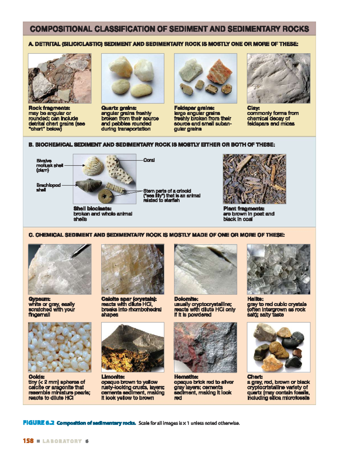 Sedimentary Rocks Classification: Compositional and Textural Features ...