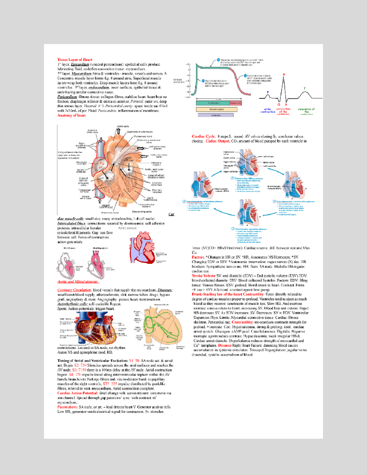 A&P Cheat Sheet 1 - anatomy - Tissue Layer of Heart Plateau (maintained ...