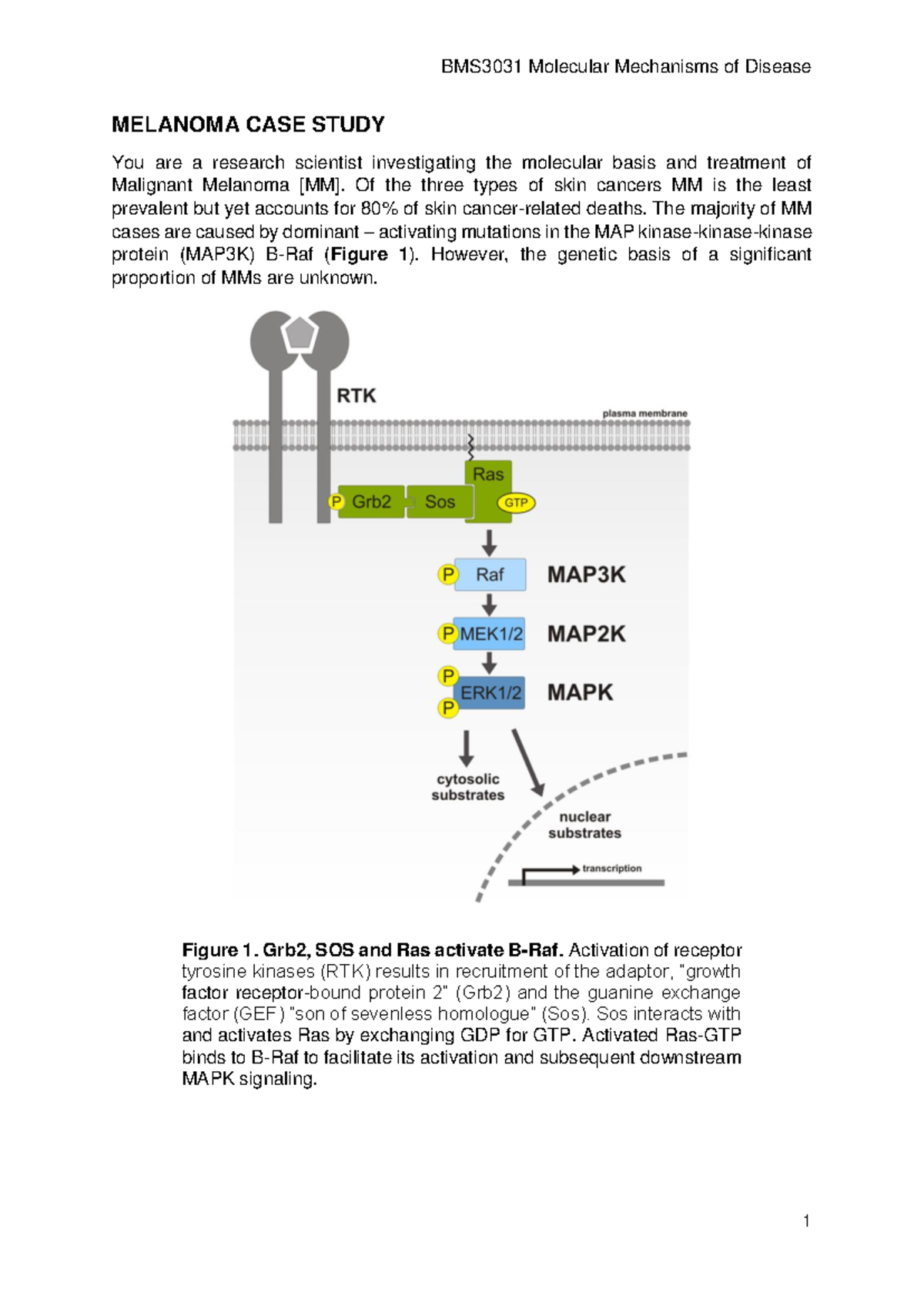 BMS3031 Melenoma Case Study Activities - BMS3031 Molecular Mechanisms of Disease 1 MELANOMA CASE ...