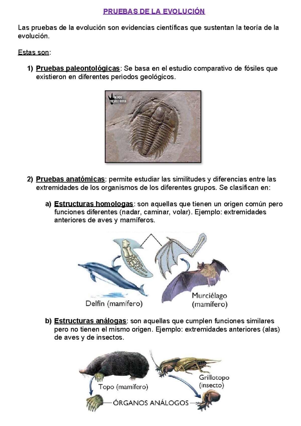 2 - Pruebas de la Evolución: Evidencias Científicas y Tipos - Studocu
