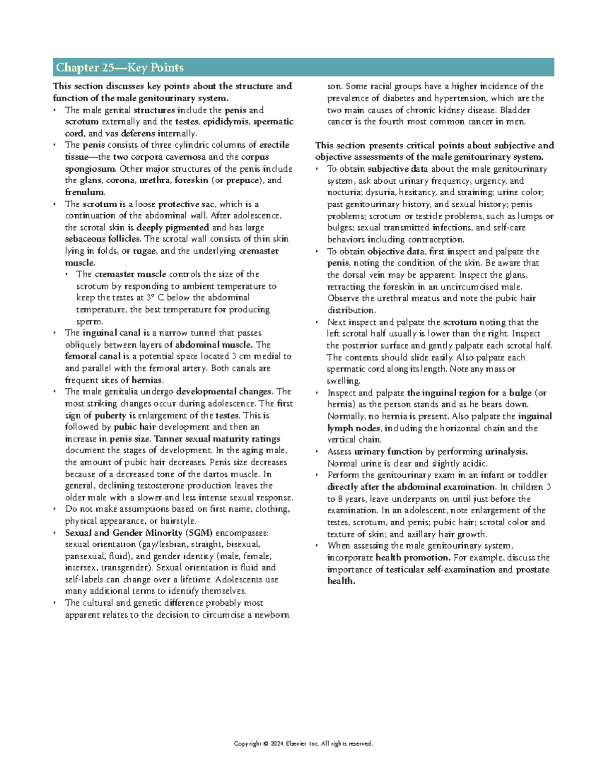 Chapter 025 - Key Points on Male Genitourinary System - Studocu