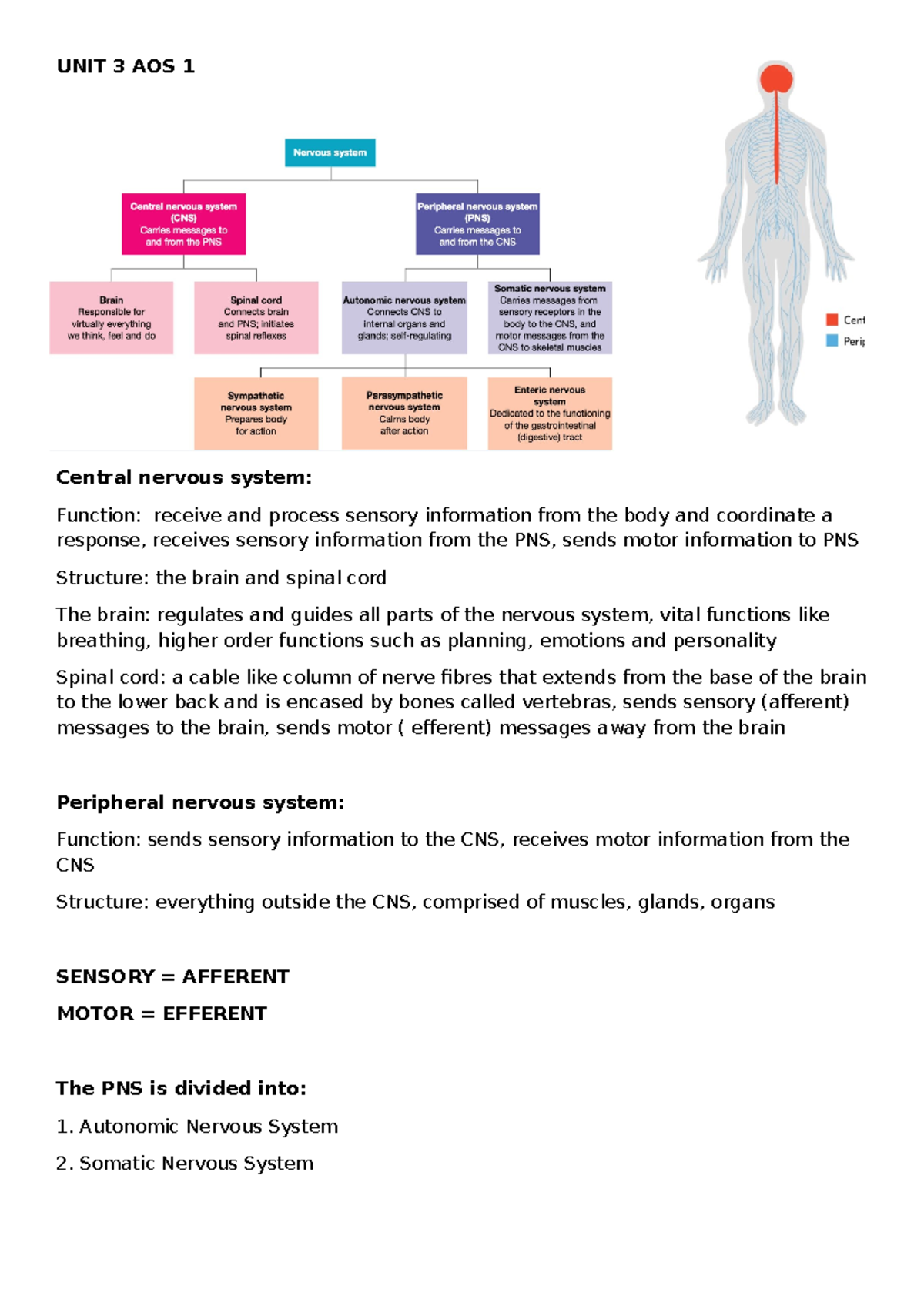 New unit 3 aos 1 psych - notes - UNIT 3 AOS 1 Central nervous system ...