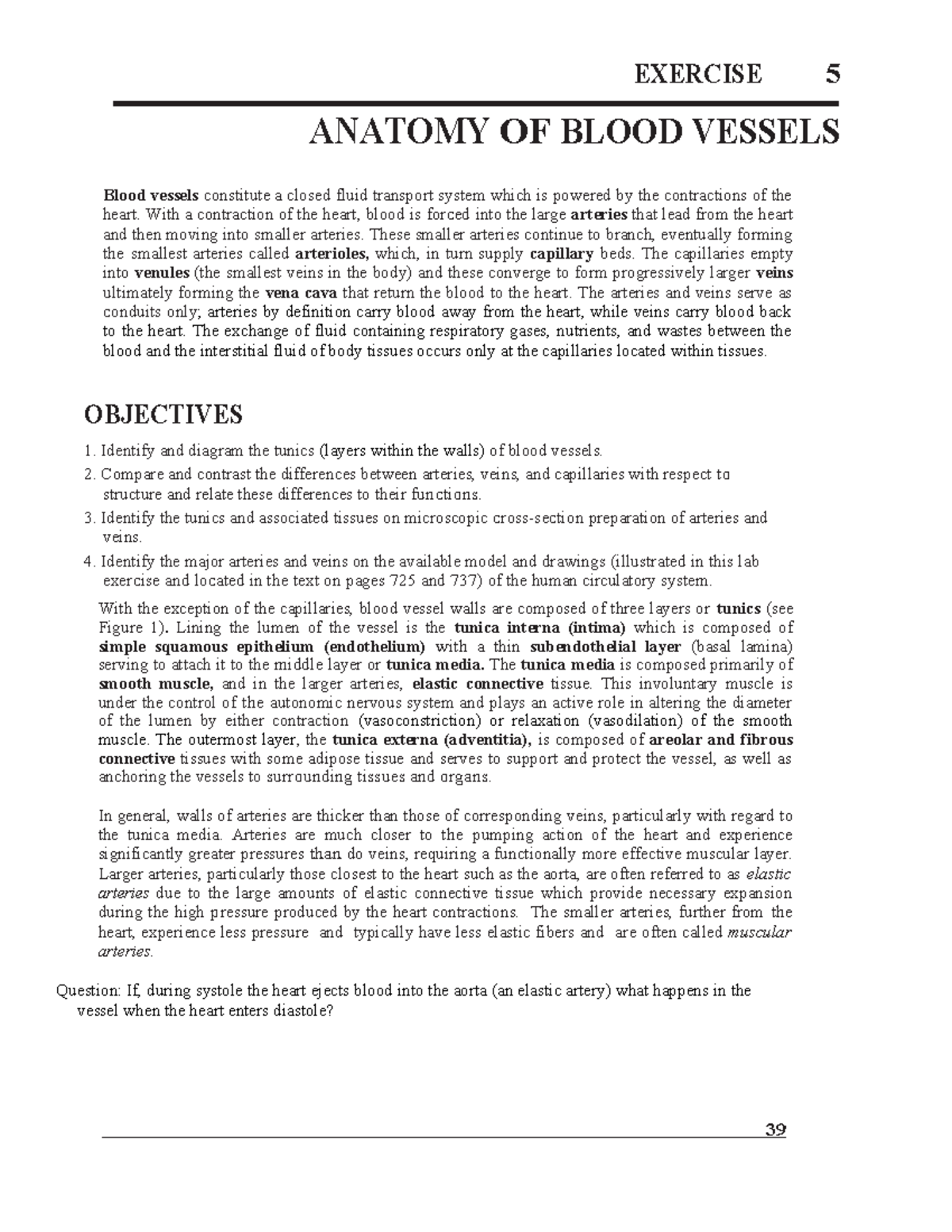 LAB MANUAL - EXERCISE 5: ANATOMY OF BLOOD VESSELS - Studocu