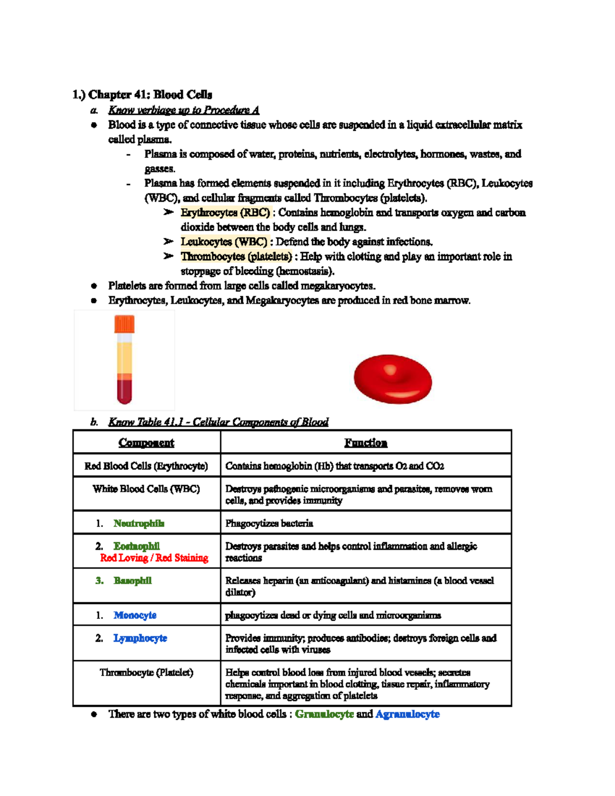 A&P2 Quiz 1 Study Guide: Blood Cells, Heart, & Digestive Organs - Studocu