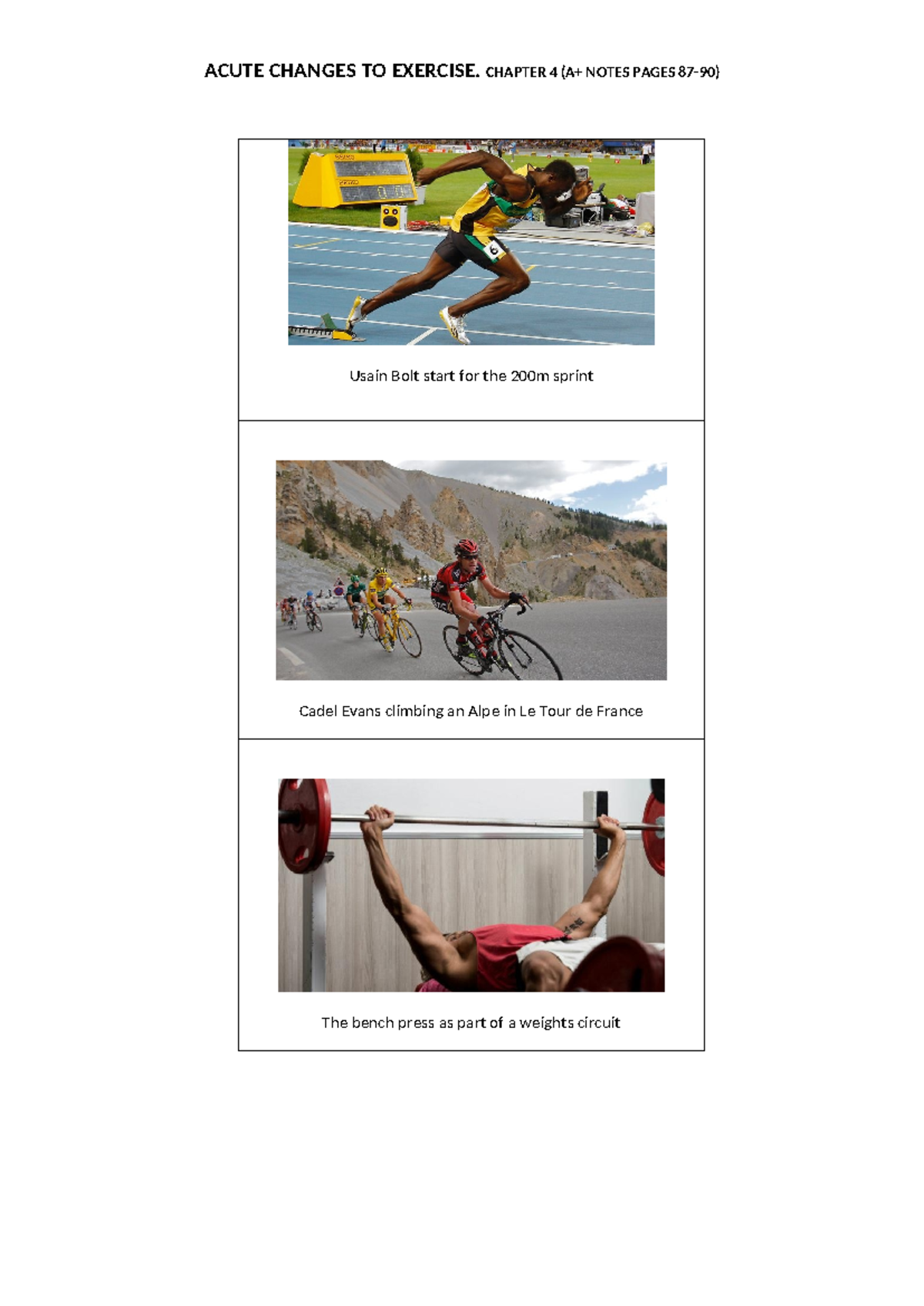ACUTE CHANGES TO EXERCISE: CHAPTER 4 NOTES & APPLICATION - Studocu