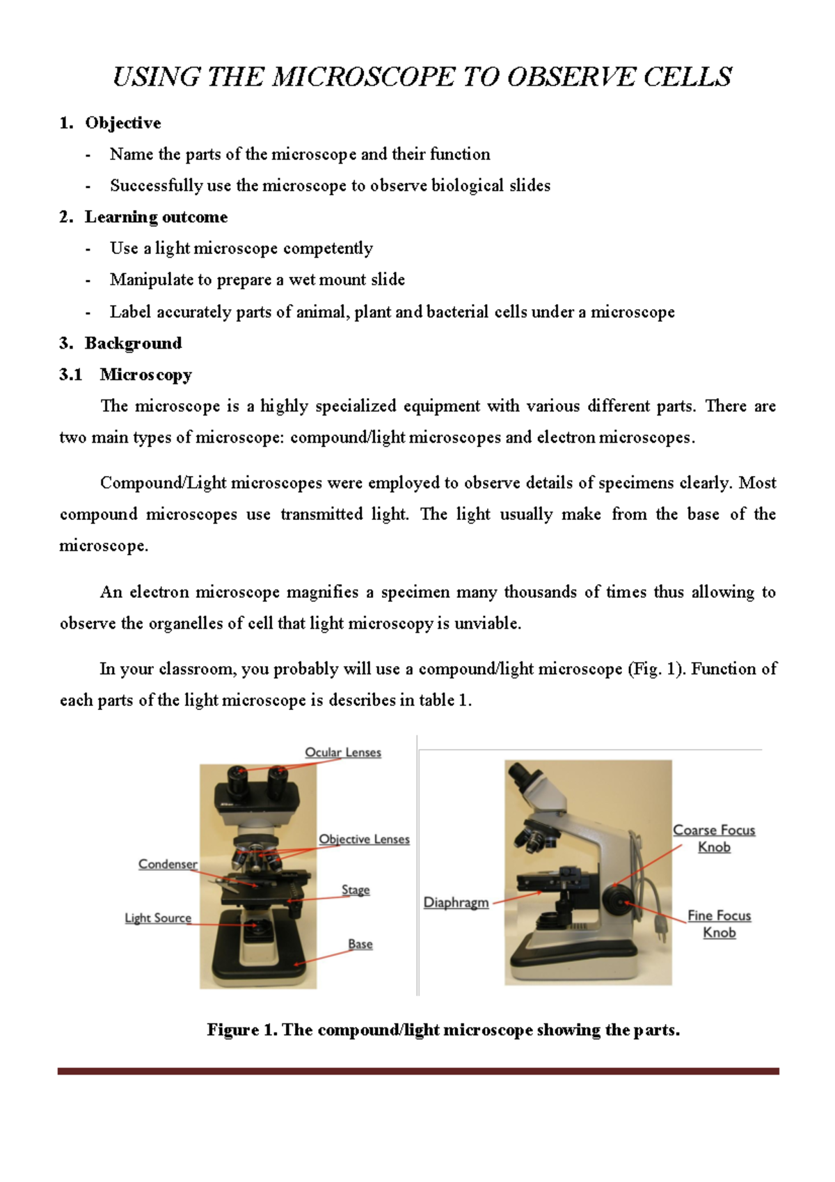Using the Microscope to Observe Cells - Study Guide for BIO101 - Studocu