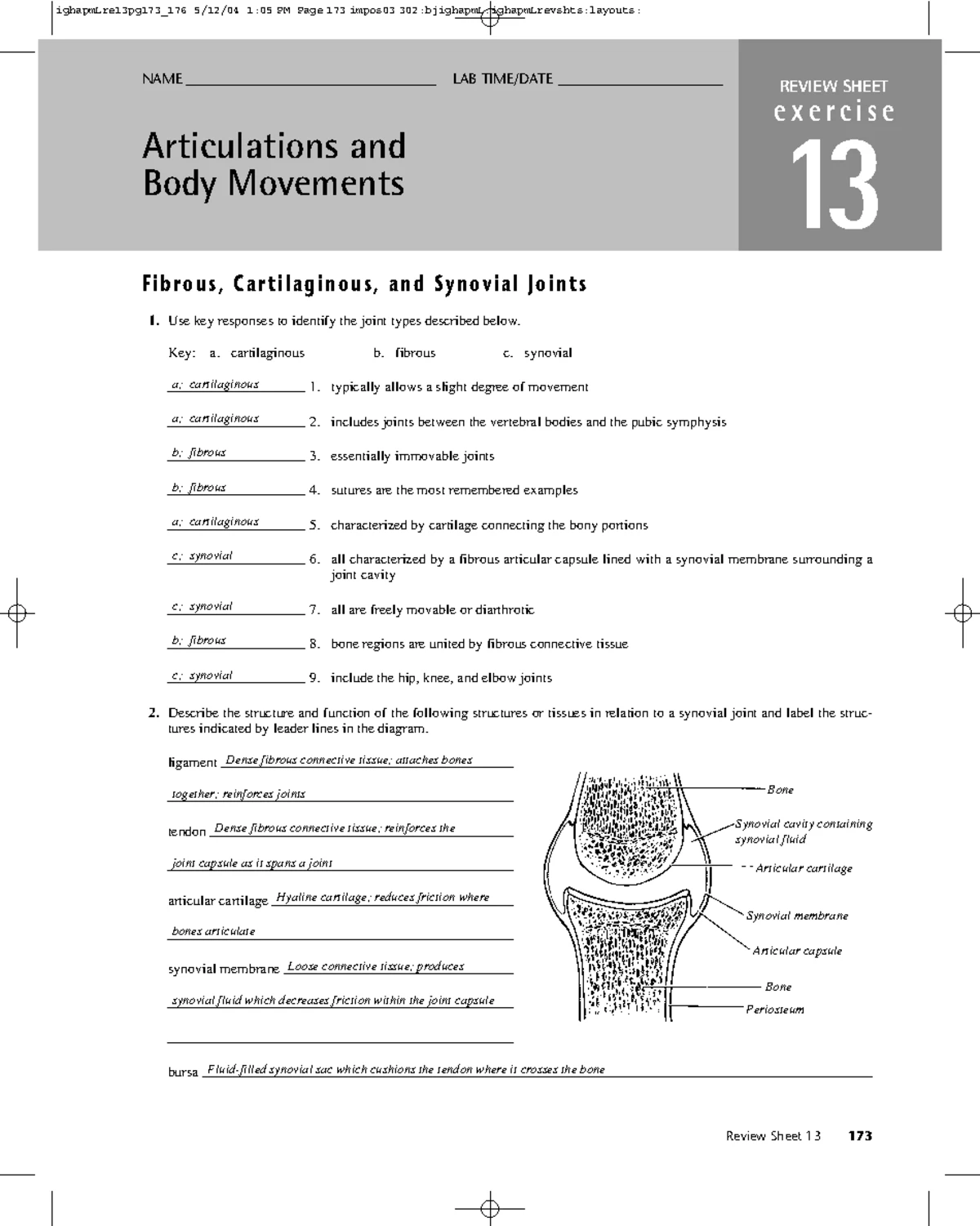 CNS & PNS Overview: Structure, Function, and Impulse Transmission Insights - Studocu