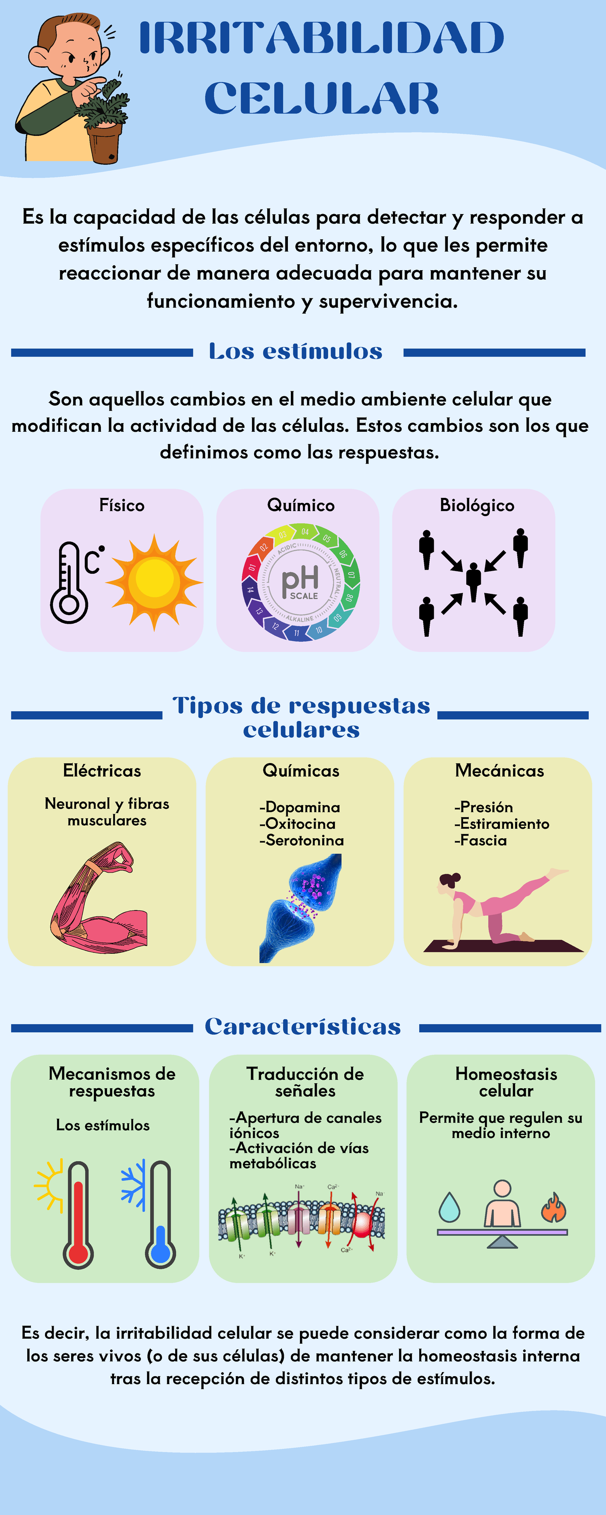 Infografía sobre Irritabilidad Celular 20241002 135003 0000 - Studocu