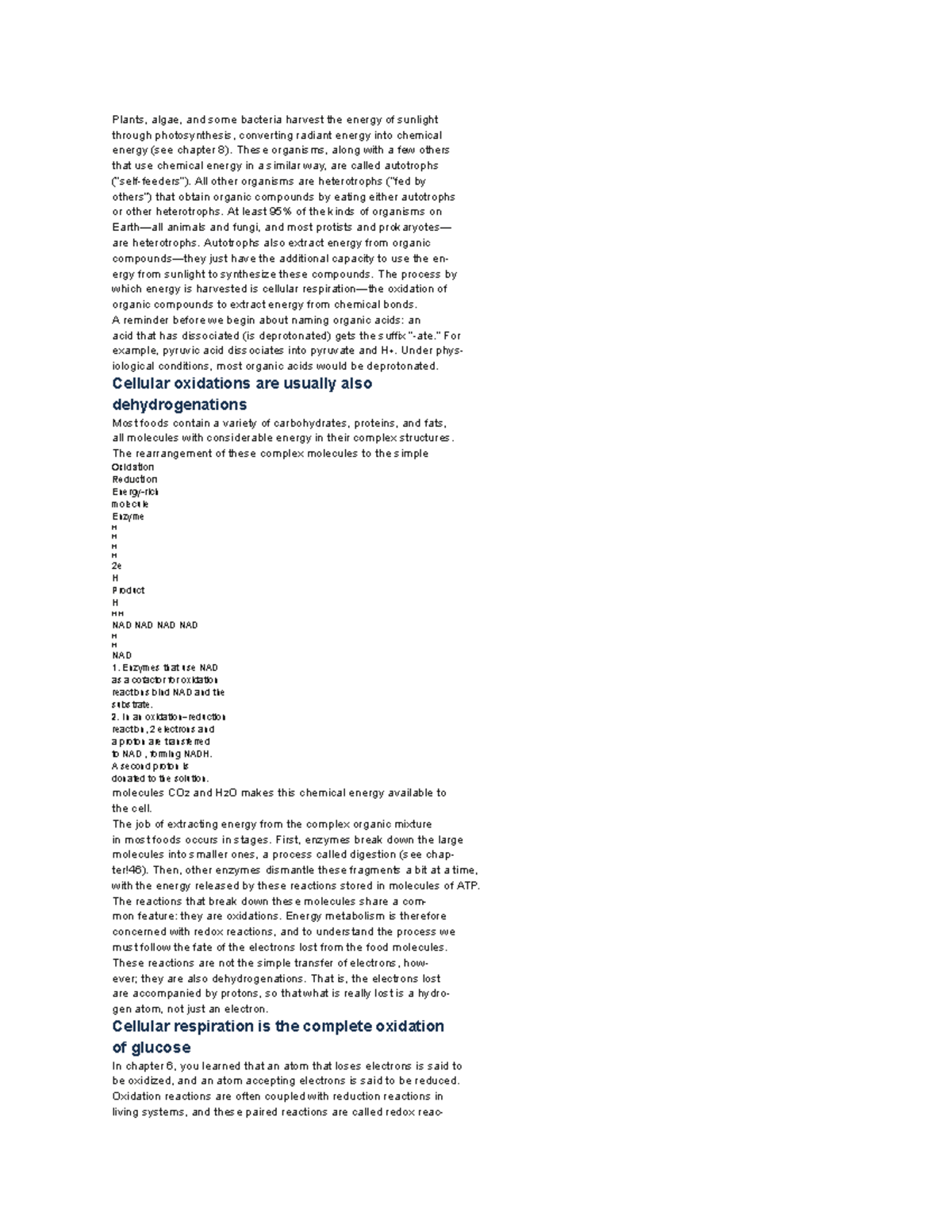 Biology 101: Chapter 7 - Cellular Respiration & ATP Production Notes ...