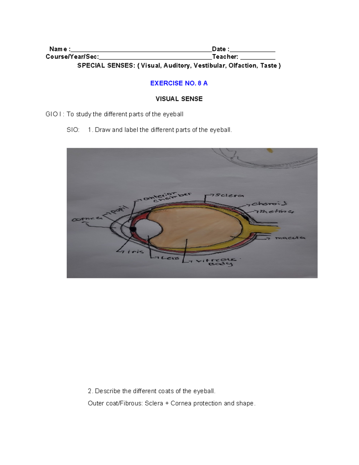 Special Senses: Visual, Auditory, Vestibular, Olfactory, Taste ...