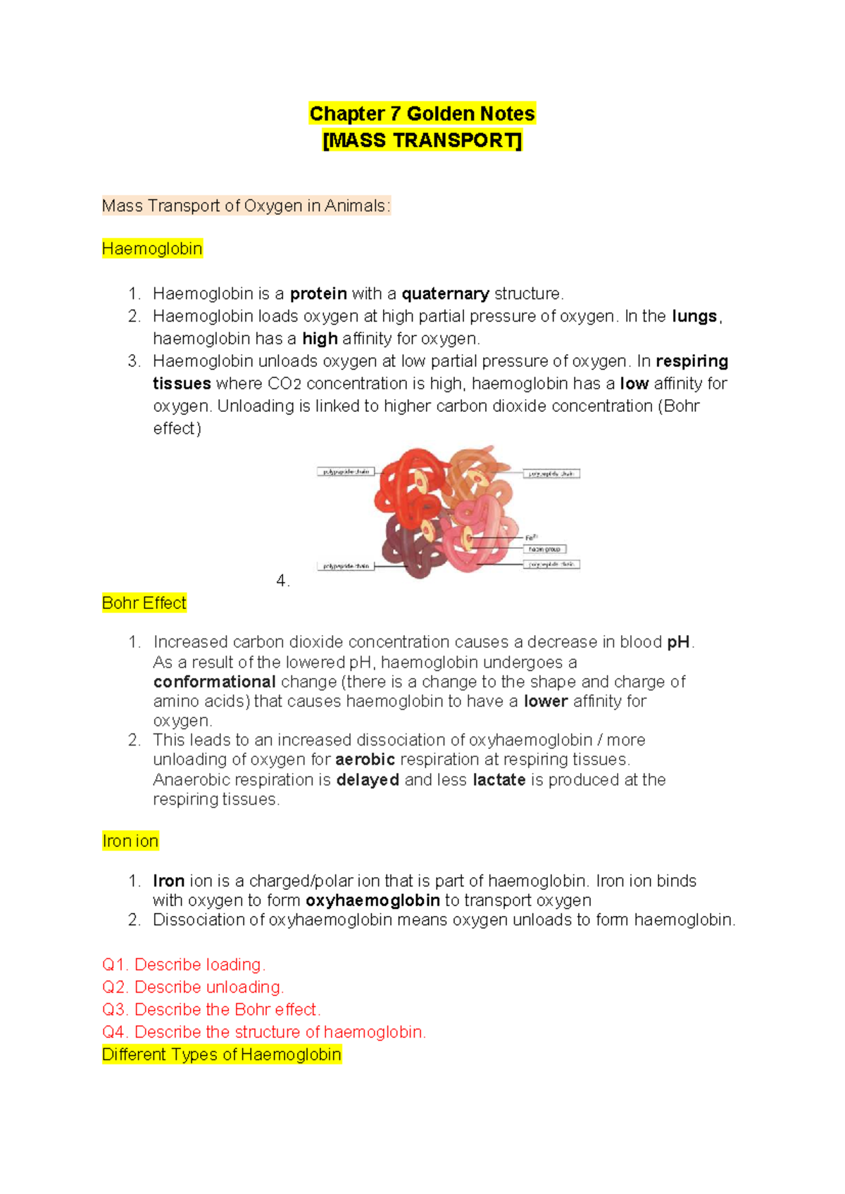 Ch7 Golden Notes: Mass Transport of Oxygen & Haemoglobin in Animals ...