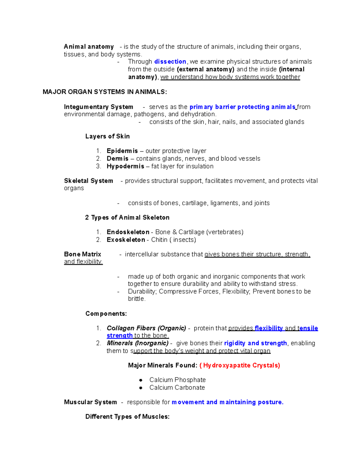 ANAT 101: Comprehensive Overview of Animal Anatomy and Organ Systems ...