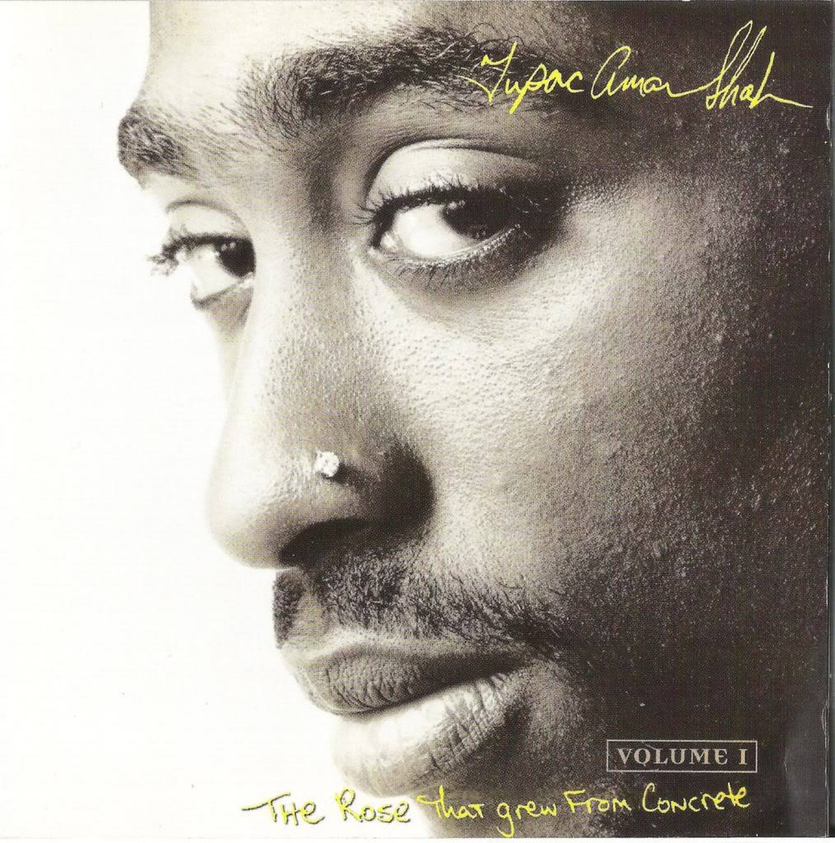 The Rose That Grew From Concrete: An Analysis of Tupac's Poetry - Studocu