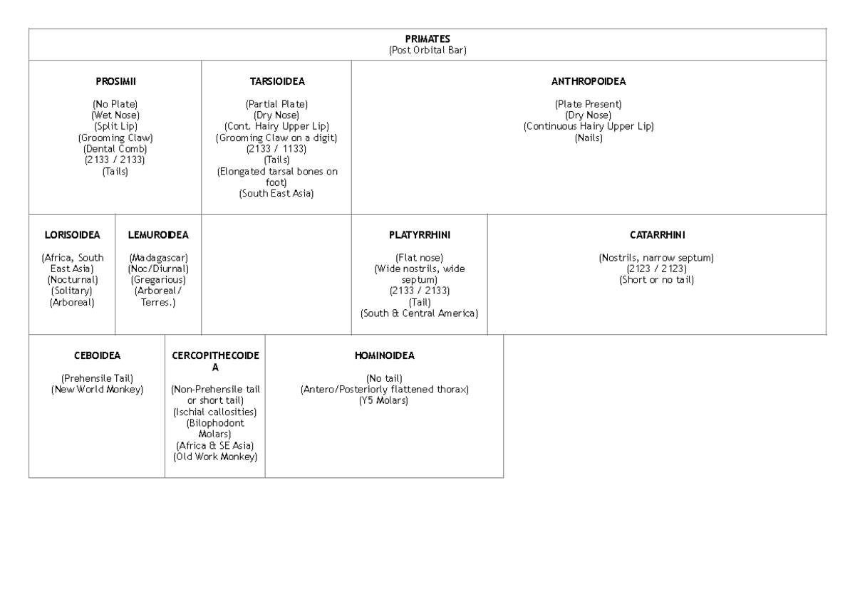 Primates Comparison Table - PRIMATES (Post Orbital Bar) PROSIMII ...