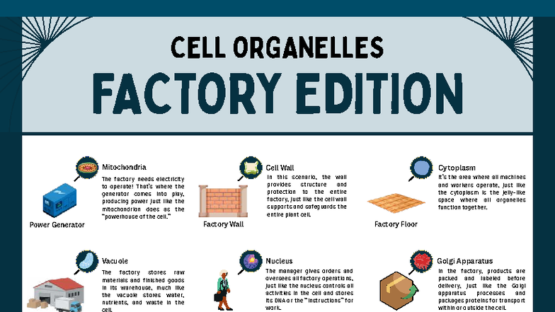 BIO 2: Cell Organelles and Their Factory Functions - Studocu