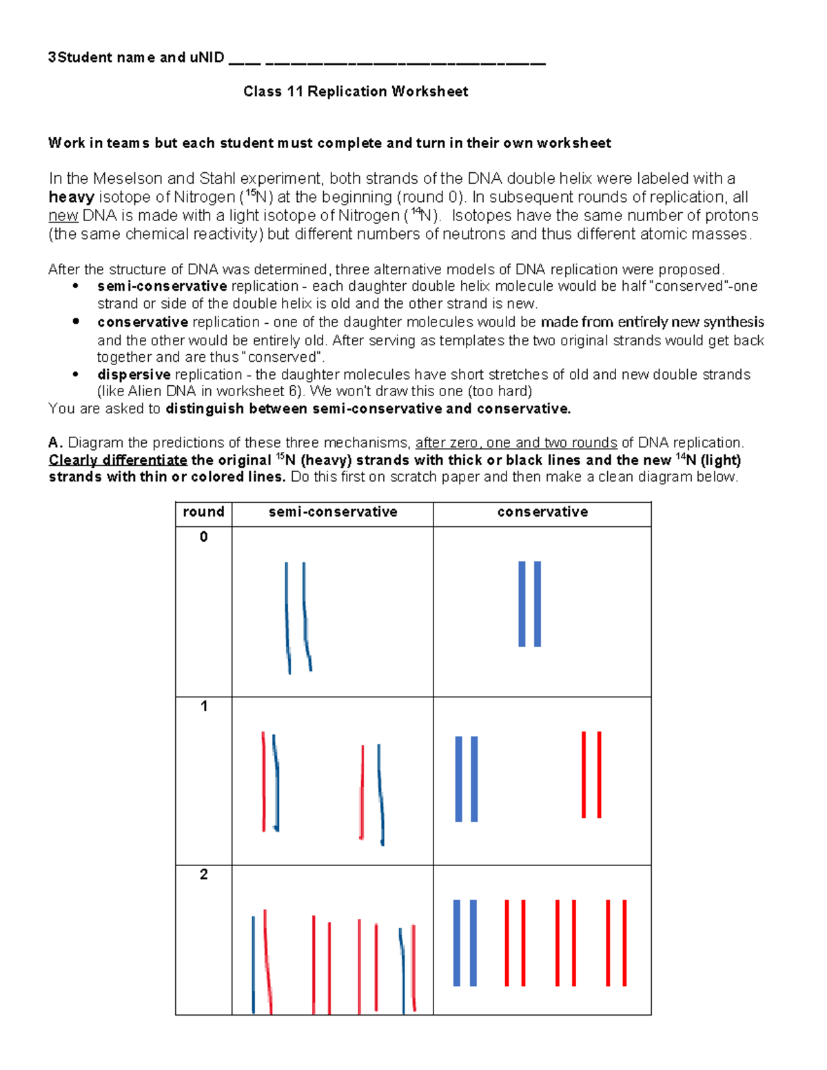 Class 11 DNA Replication Worksheet - F'22 Analysis and Predictions ...