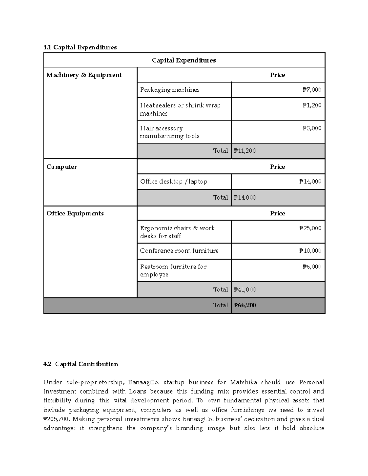 Chapter 4 draft 4: Capital expenditures and funding strategies for ...