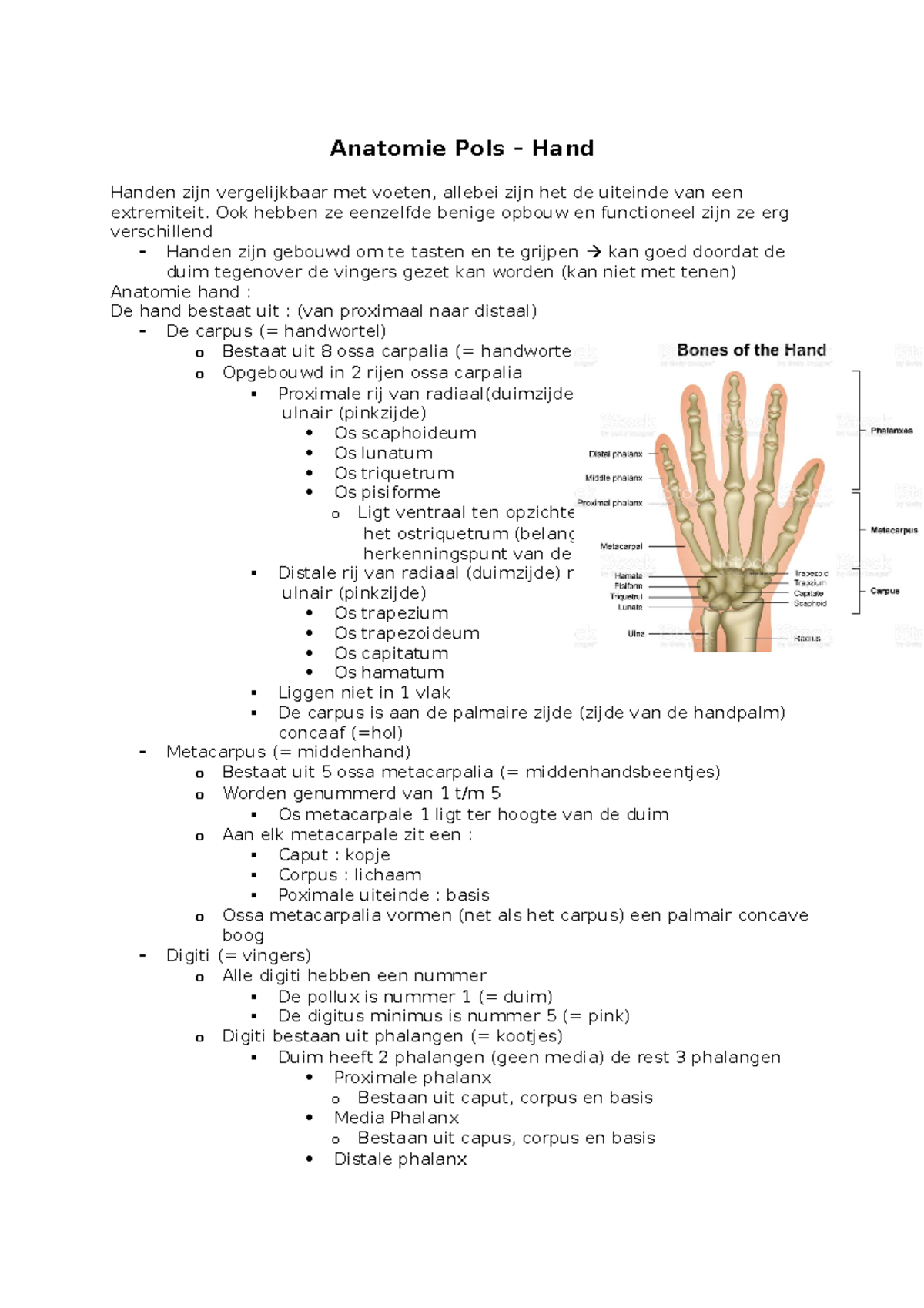 Anatomie Pols-Hand: Structuren en Functies (Blok 2 + 4) - Studeersnel