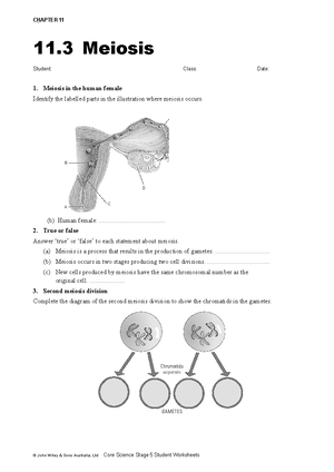 [Solved] Environmental restraint with example - Certificate III In ...
