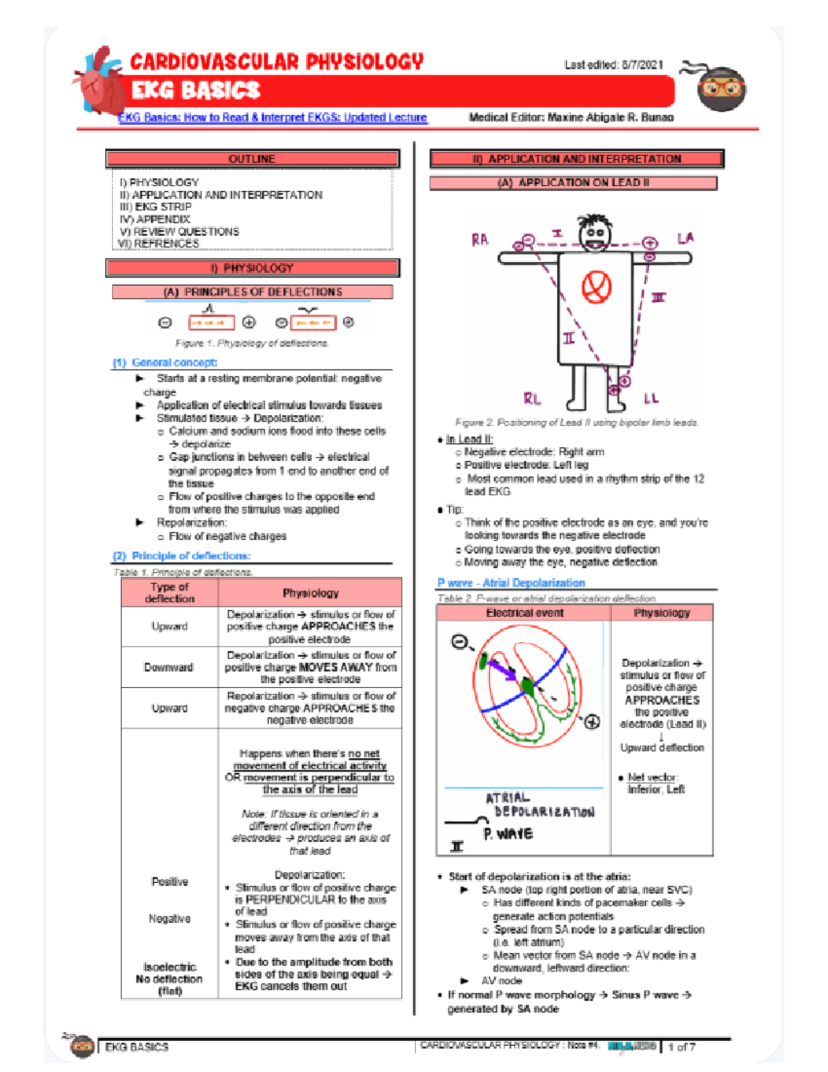 Ninja Nerd EKG Notes - EKG Basics Lecture (Cardiovascular Physio) - Studocu
