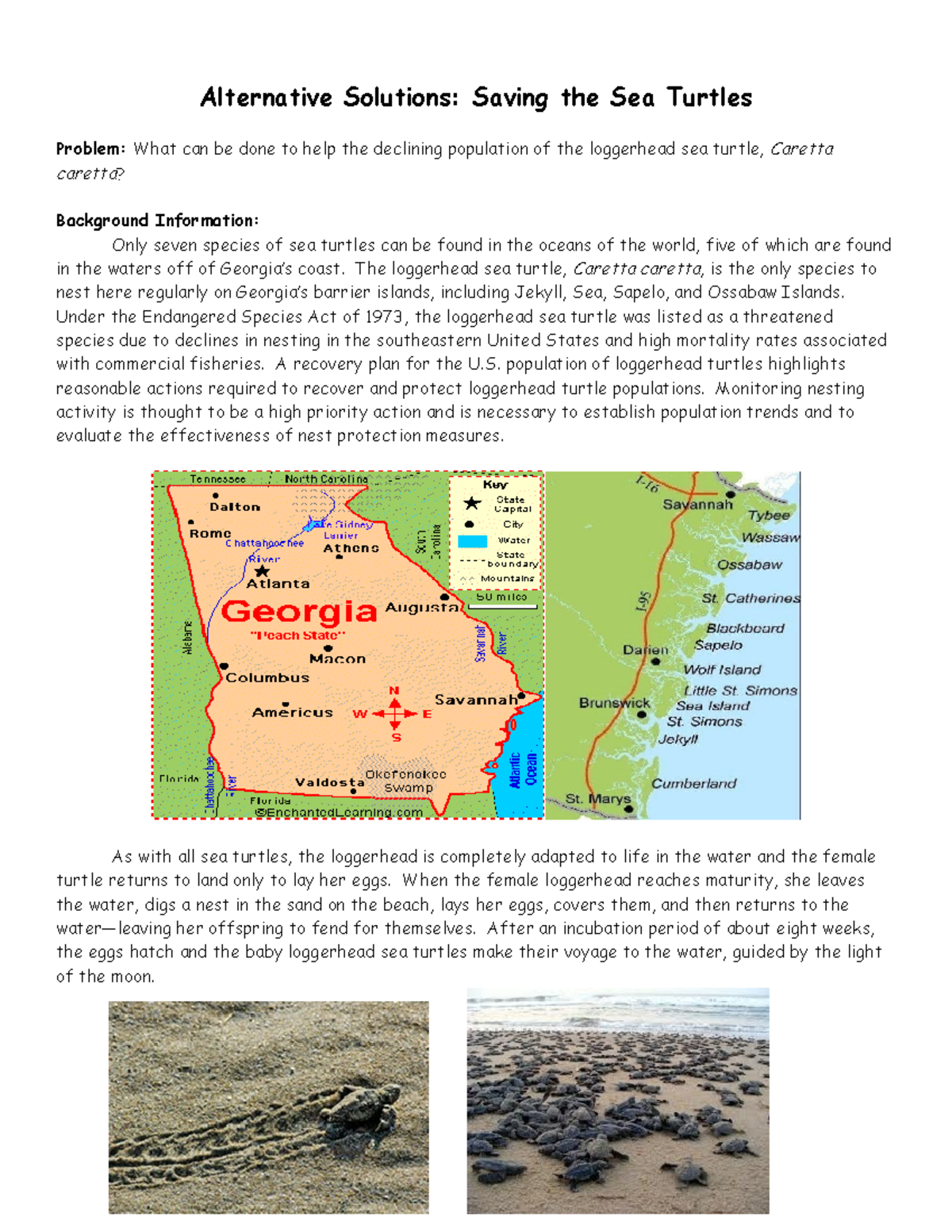 Alternative Solutions for Loggerhead Sea Turtle Conservation - Studocu