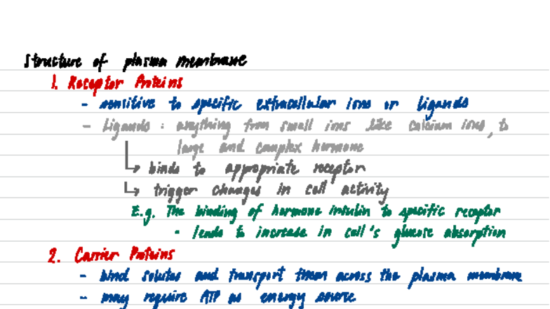 Body Systems 10811: Structure and Function of Plasma Membrane - Studocu
