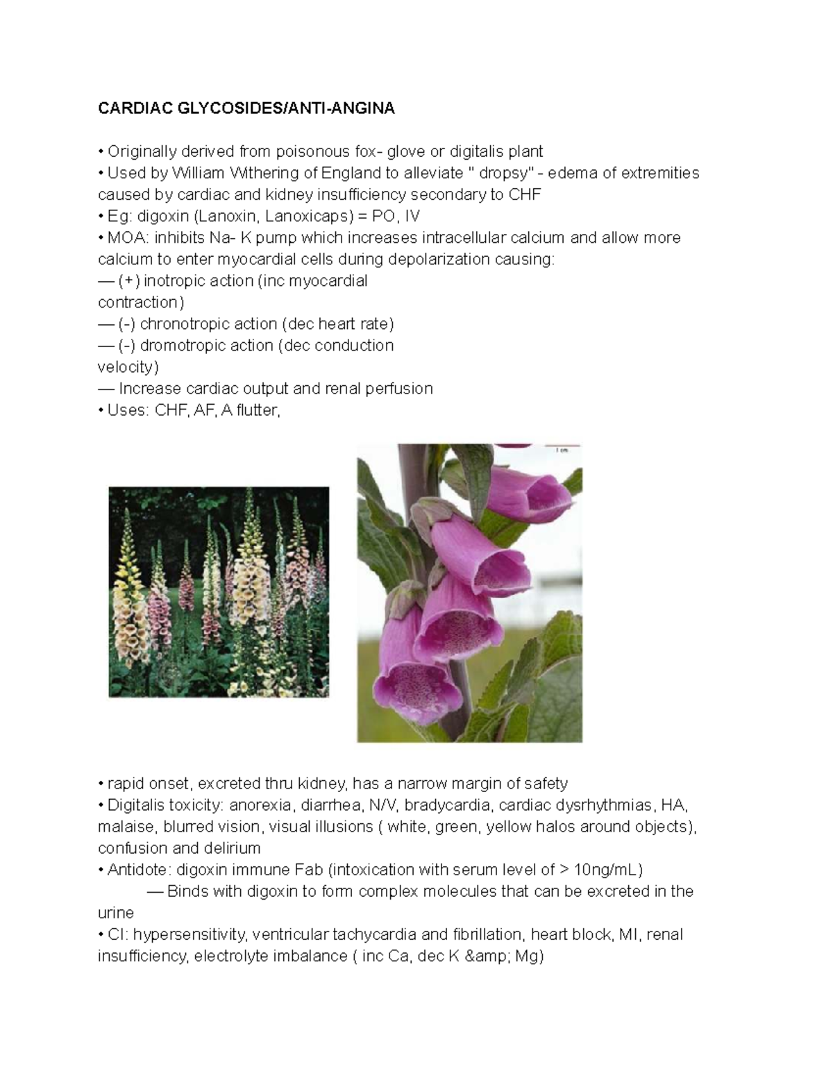 Cardio Drugs Overview: Mechanisms, Uses, and Nursing Considerations ...