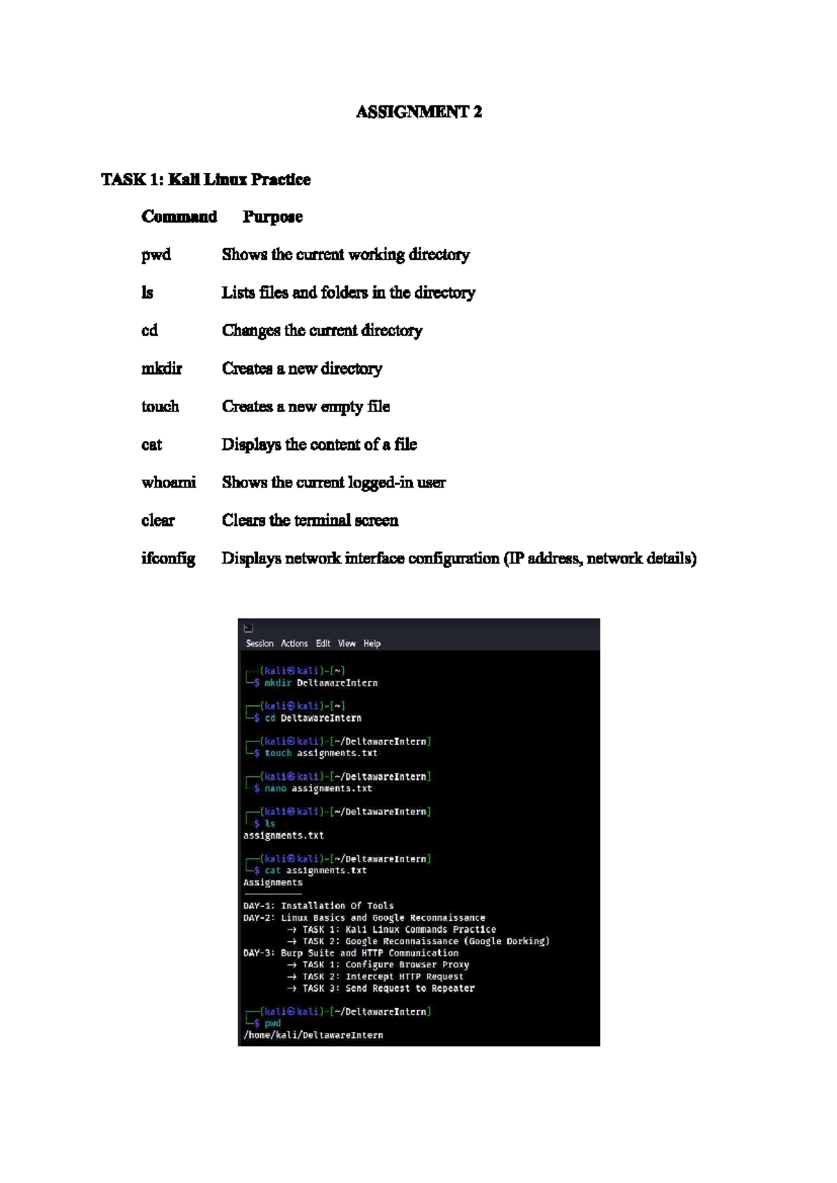 Kali Linux Commands & Google Reconnaissance - Assignment 2 Task 1 - Studocu
