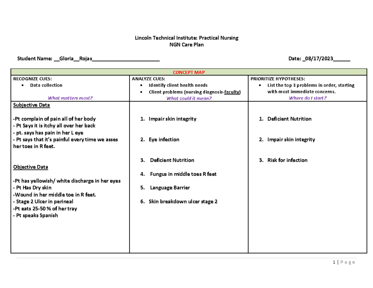 Care Plan FALl risk LPN - 1 | P a g e Lincoln Technical Institute ...