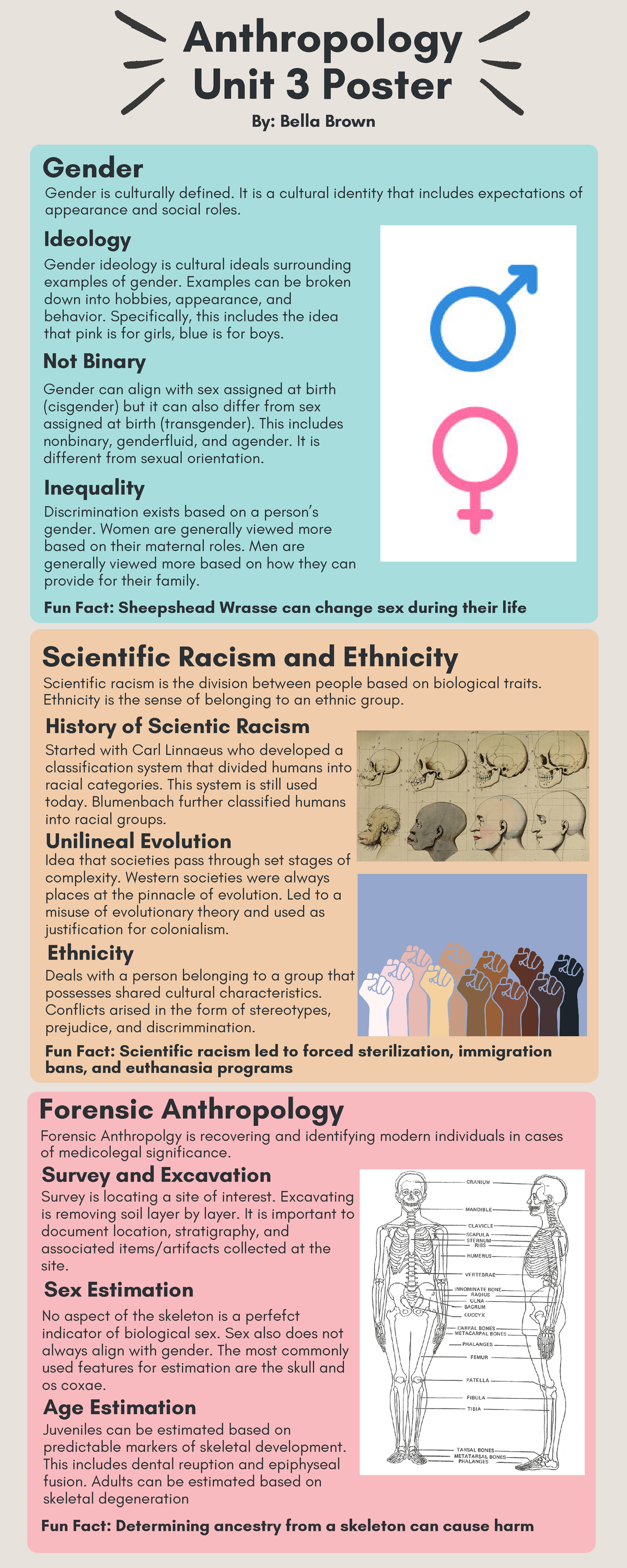 Unit 3 poster - Gender Gender is culturally defined. It is a cultural ...