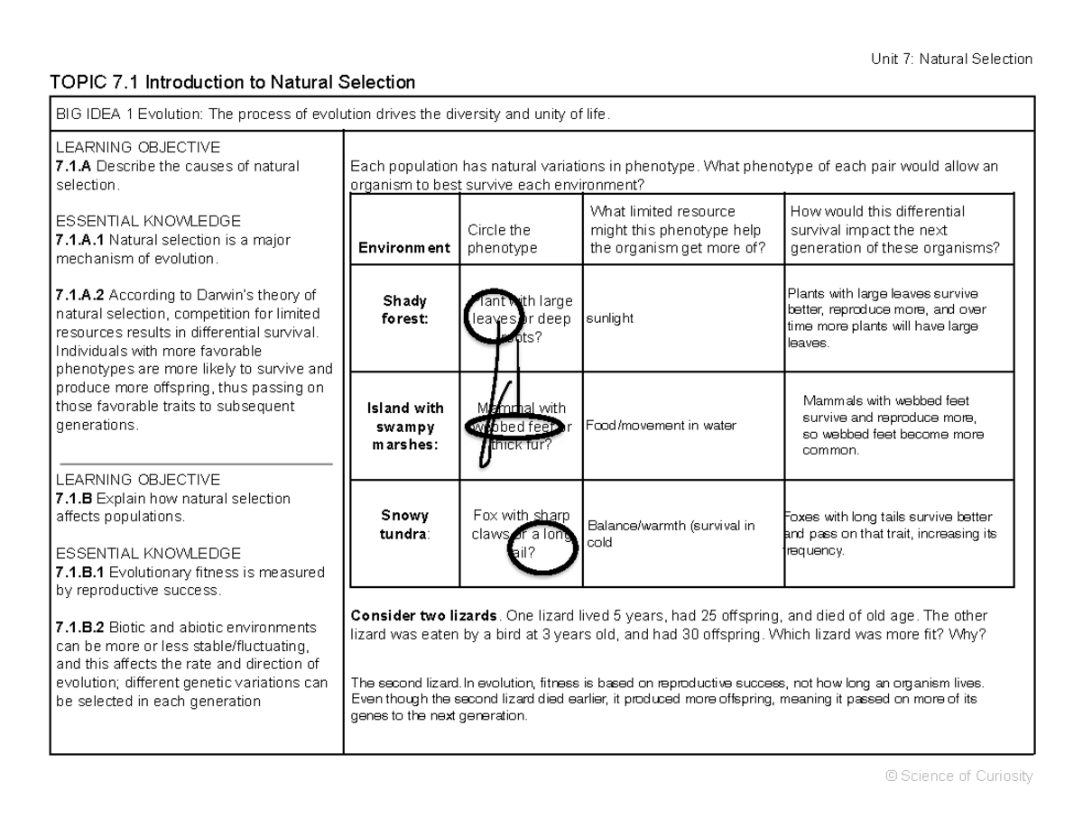 AP Biology Unit 7: Natural Selection Overview (Topics 7.1-7.3) - Studocu