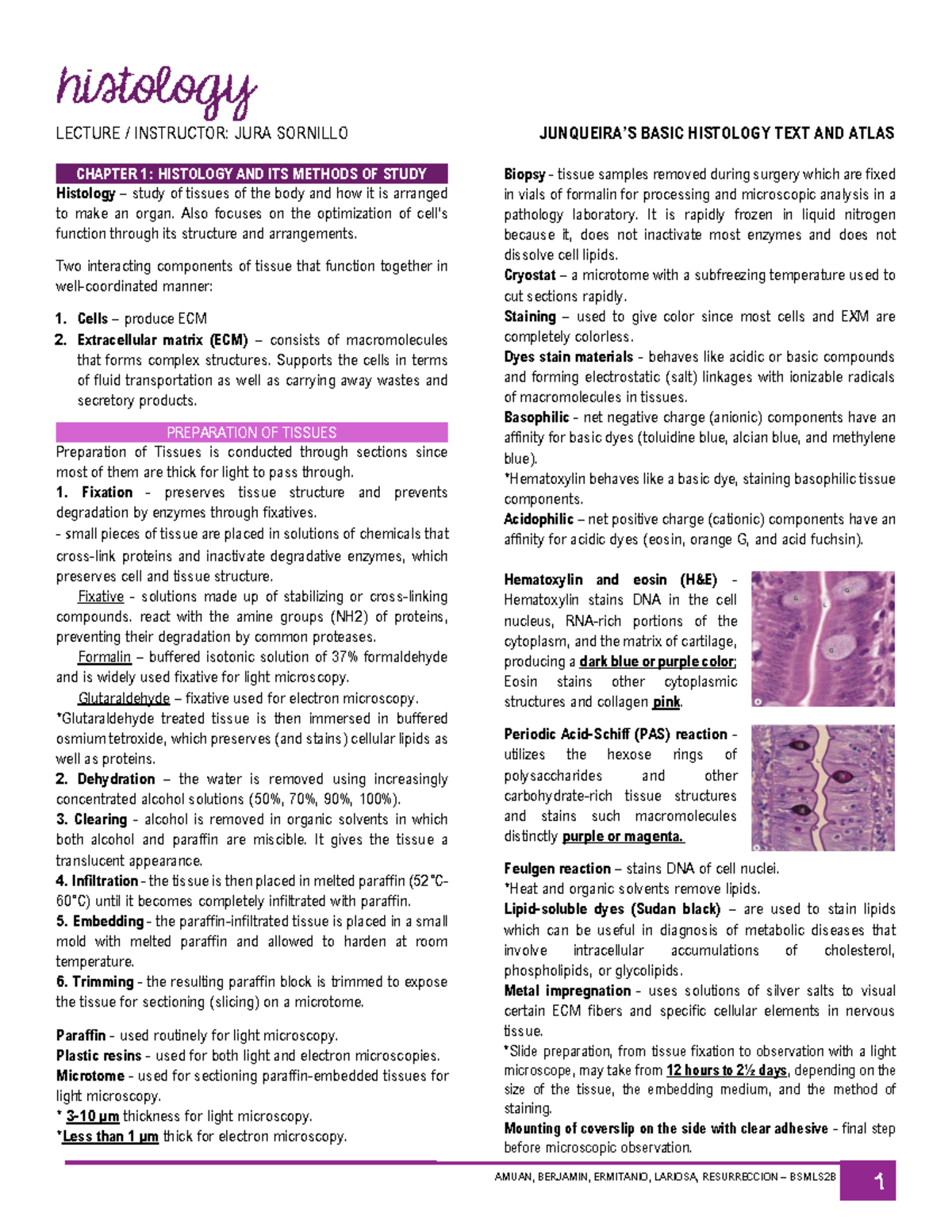 Histology LECTURE NOTES (BSMLS2B) - Instructor: Jura Sornillo - Studocu