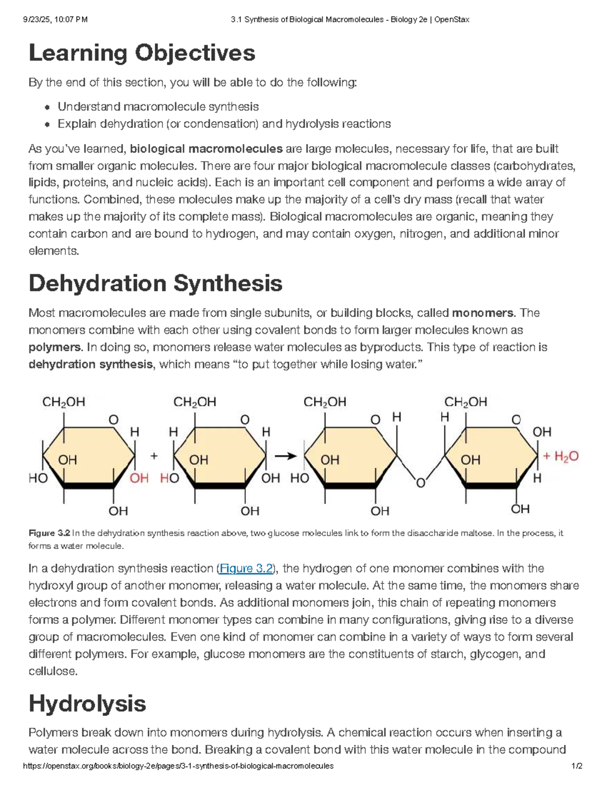 Synthesis and Hydrolysis of Biological Macromolecules - Biology 2e ...