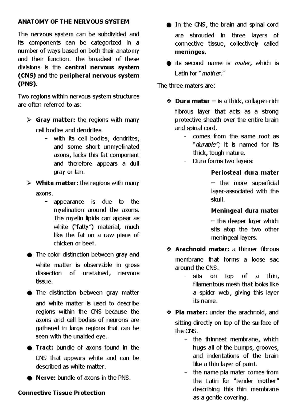 ANATOMY OF THE NERVOUS SYSTEM: CNS & PNS Overview - Studocu