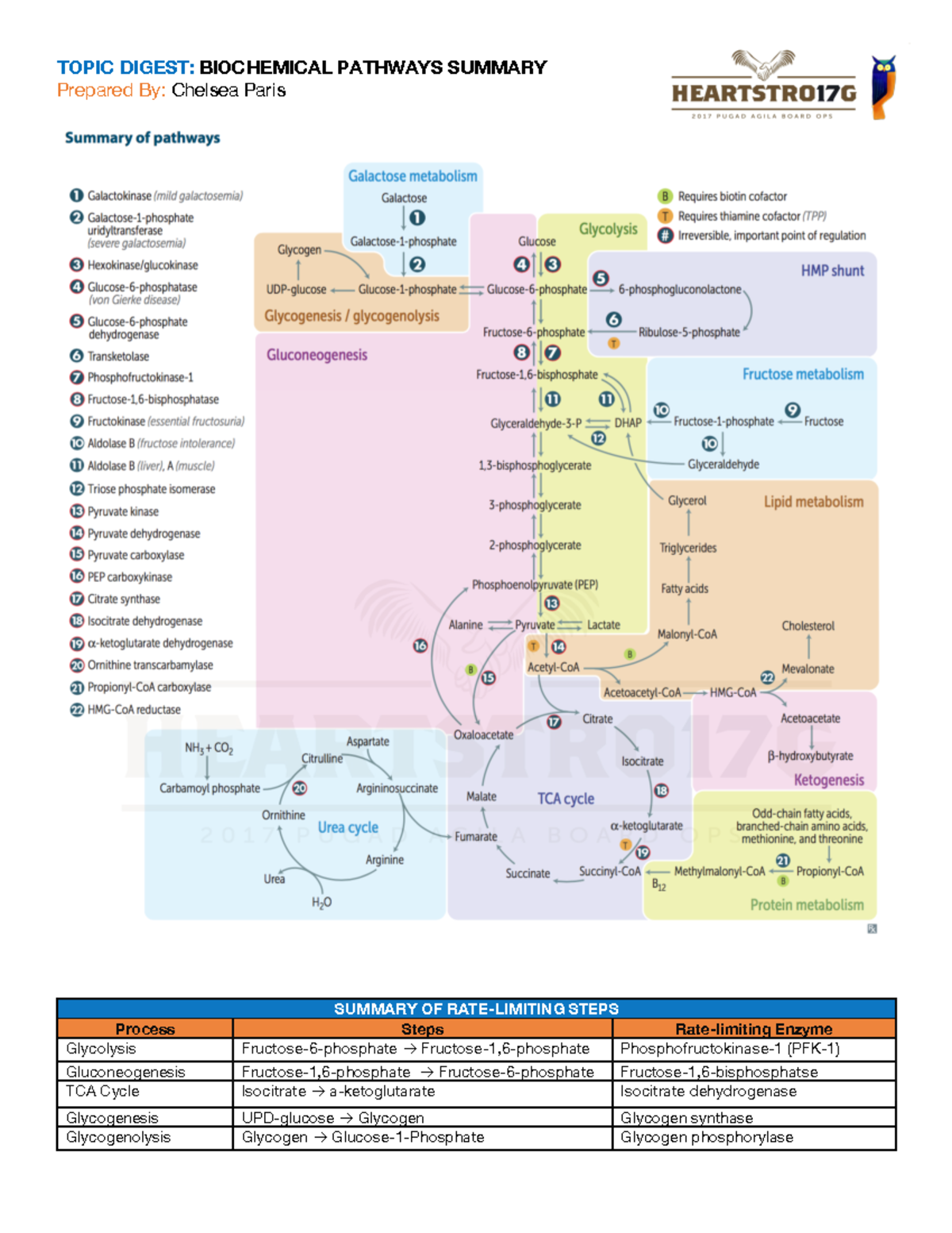 Biochemistry Summary of Pathways - TOPIC DIGEST: BIOCHEMICAL PATHWAYS ...