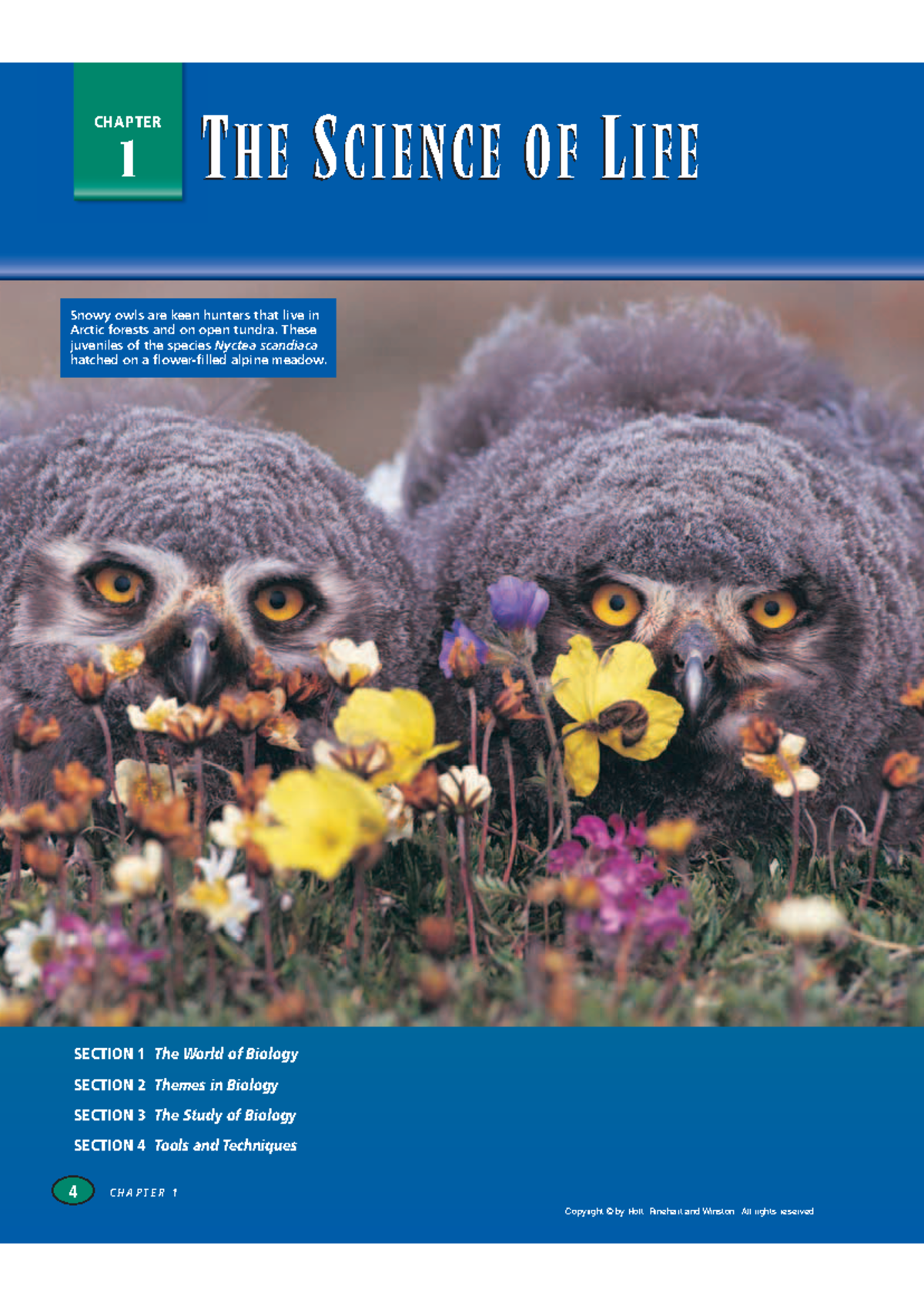 Chapter 1 the science of life - Snowy owls are keen hunters that live ...