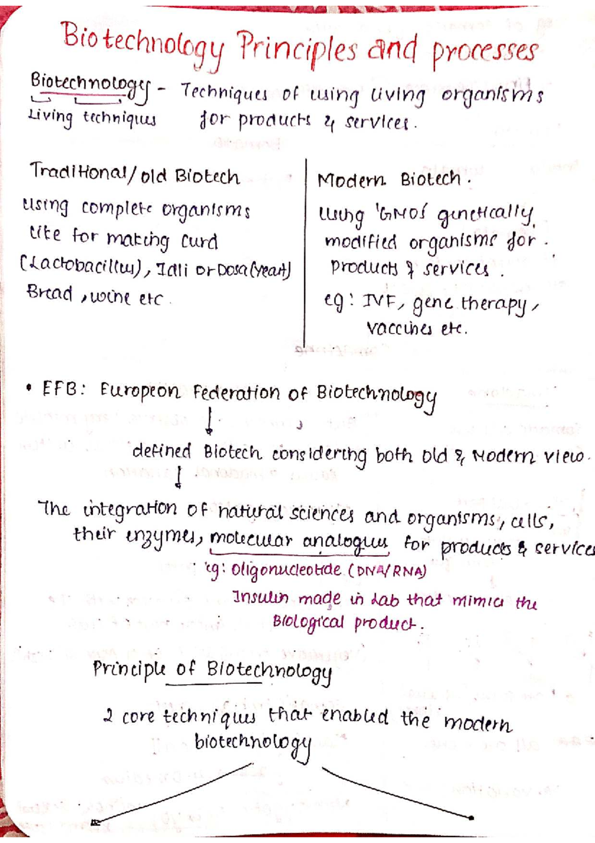 Biotechnology Principles and Processes: Class 12 Overview - Studocu