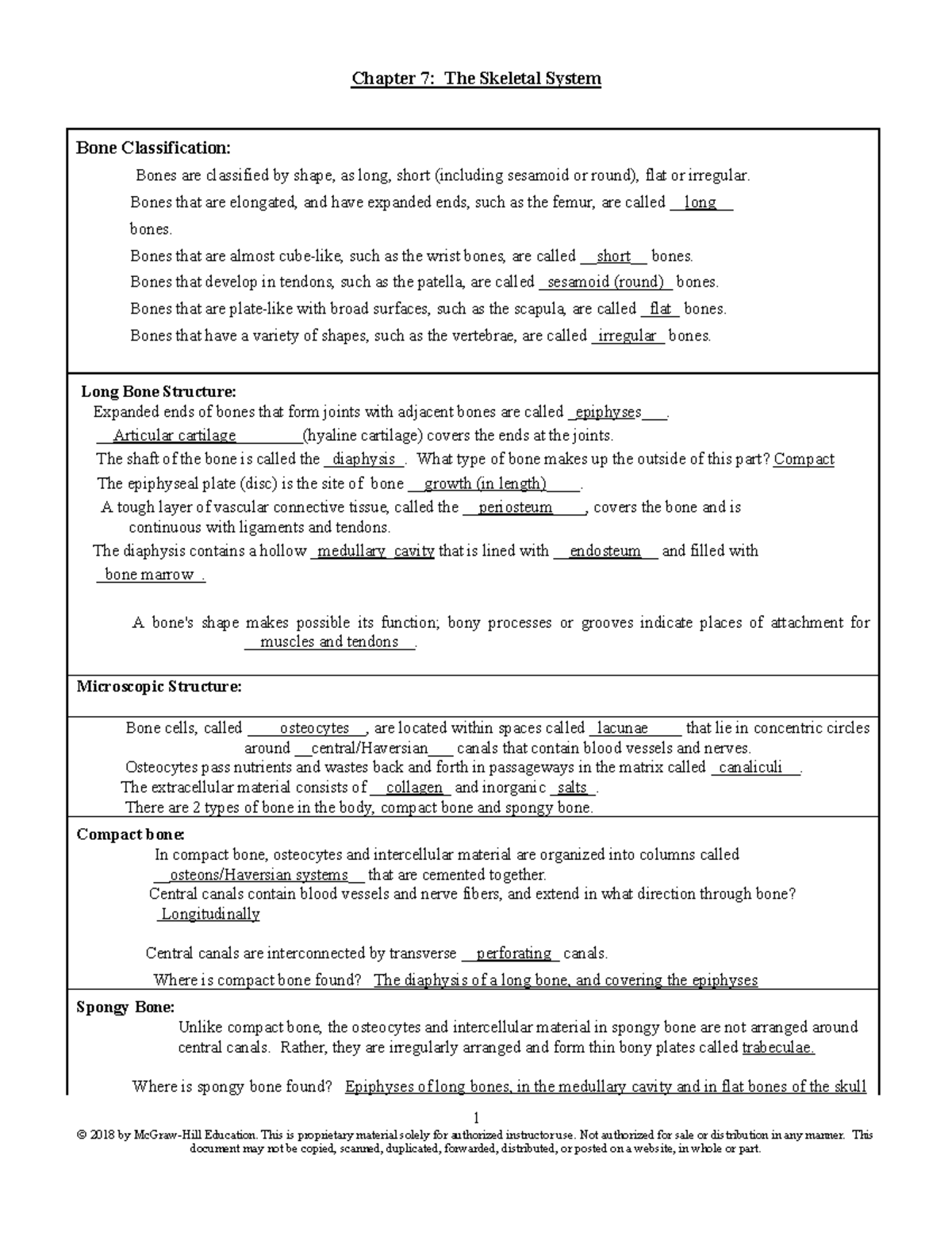 Chapter 7: The Skeletal System Overview - Studocu