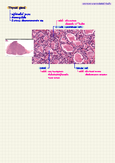 Biology - PSU - Studocu