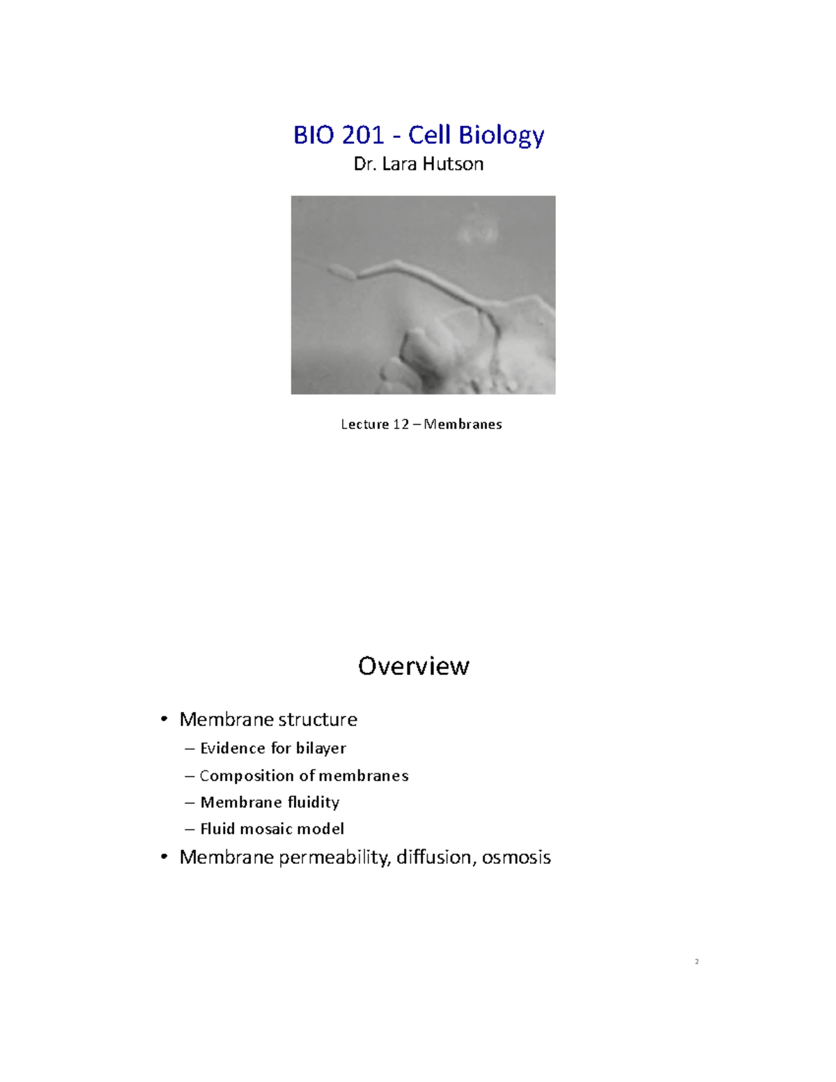 BIO201 Lec 12 Membranes - BIO 201 - Cell Biology Dr. Lara Hutson Lecture 12 – Membranes Overview ...