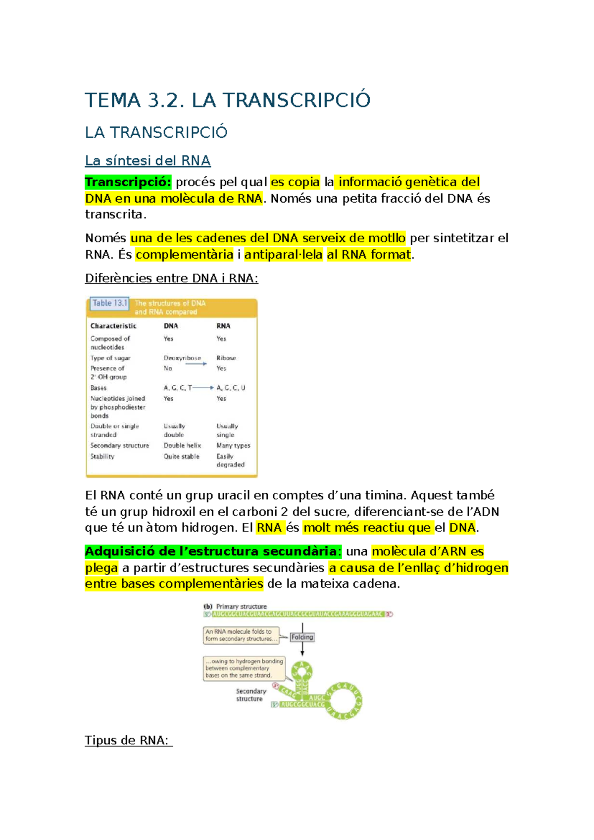 TEMA 3.2. LA TRANSCRIPCIÓ: Mecanismes i Tipus de RNA - Studocu