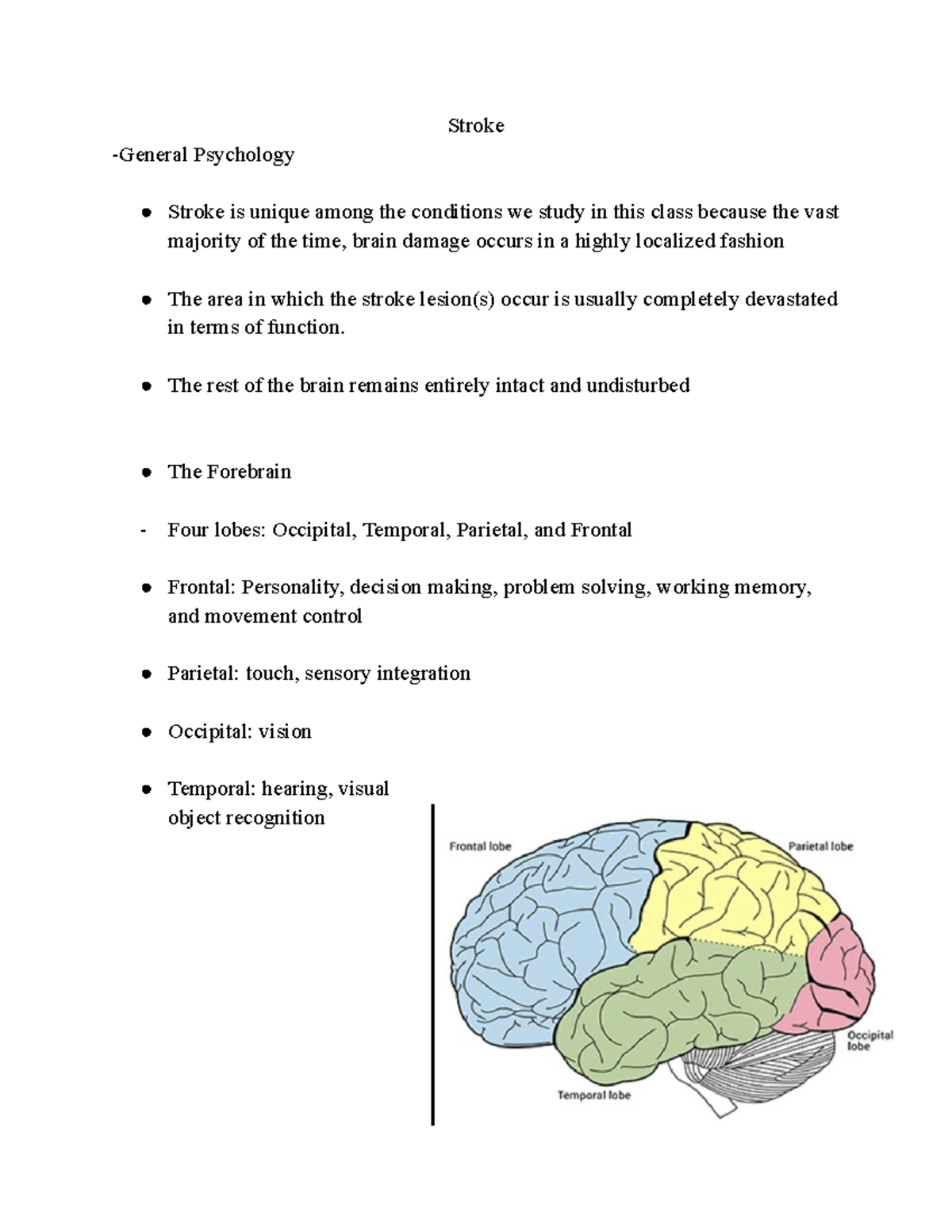 Understanding Strokes: Types, Risks, and Neurological Insights (PSY101 ...