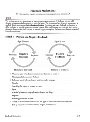 Lady Macbeth's Transformation: Character and Power Analysis in Macbeth ...