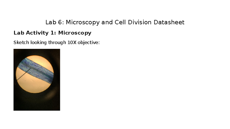 Lab 6: Microscopy & Cell Division Protocol and Datasheet - Studocu