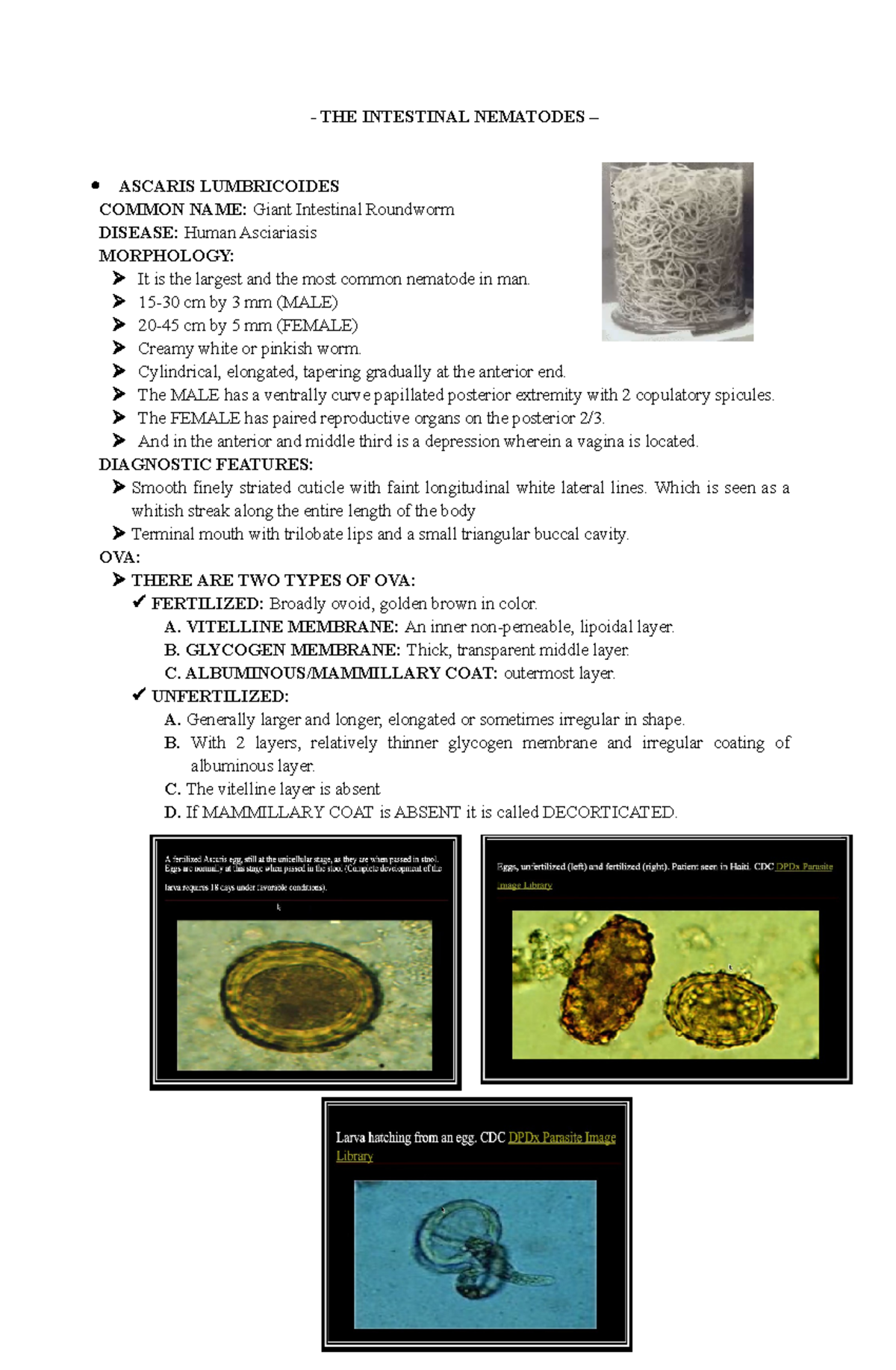 Intestinal Nematodes Notes - Medical Technology - FEU - Studocu